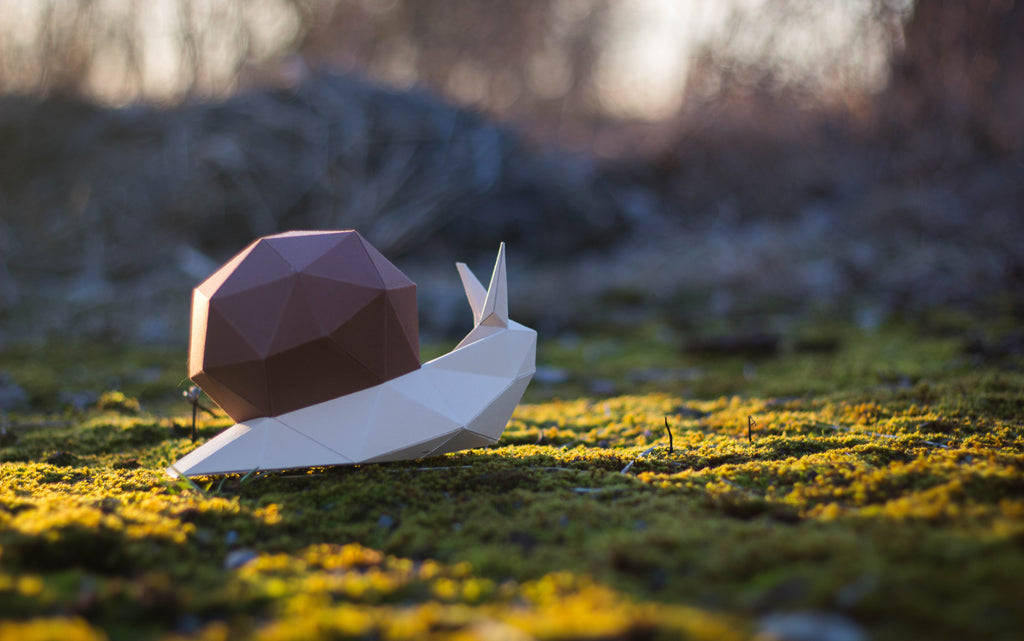 Slak 3D Papier Model (Goud, Geel/Groen of Bruin/Wit) Papier | SlimSpul ...
